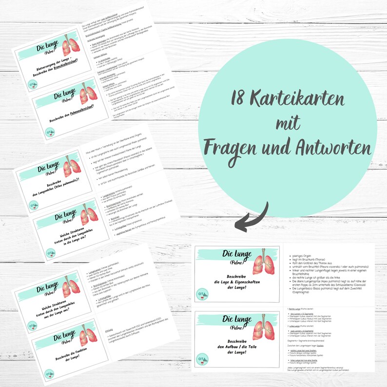THE LUNGS Anatomy Study Sheets + Flashcards - Nursing OTA Training ...