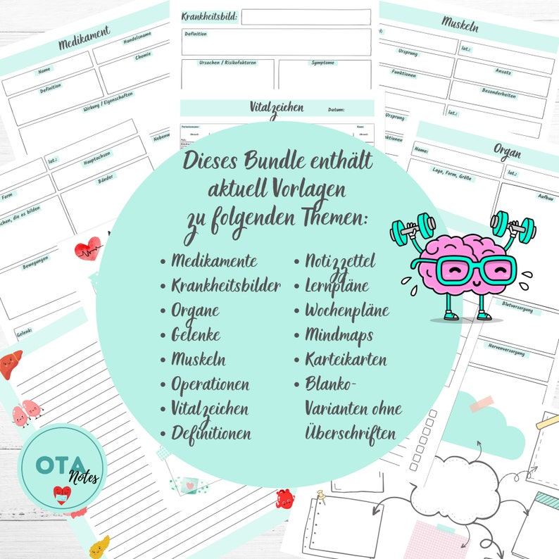 XXL Anatomy & Templates Study Notes Bundle – Physiology Medicine ...