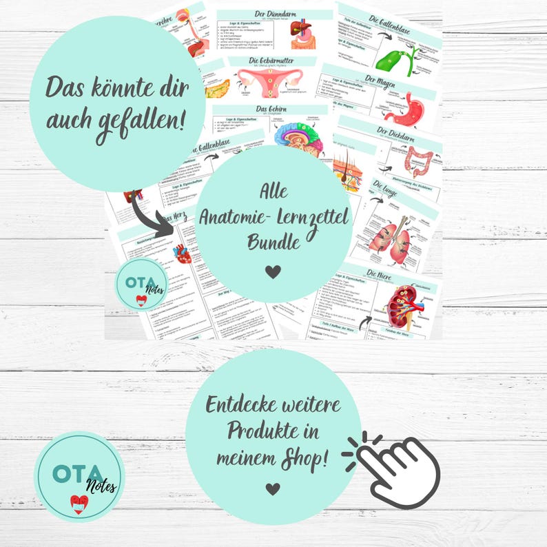 Spleen Anatomy Study Notes & Flashcards – OTA Training Medicine Nursing ...