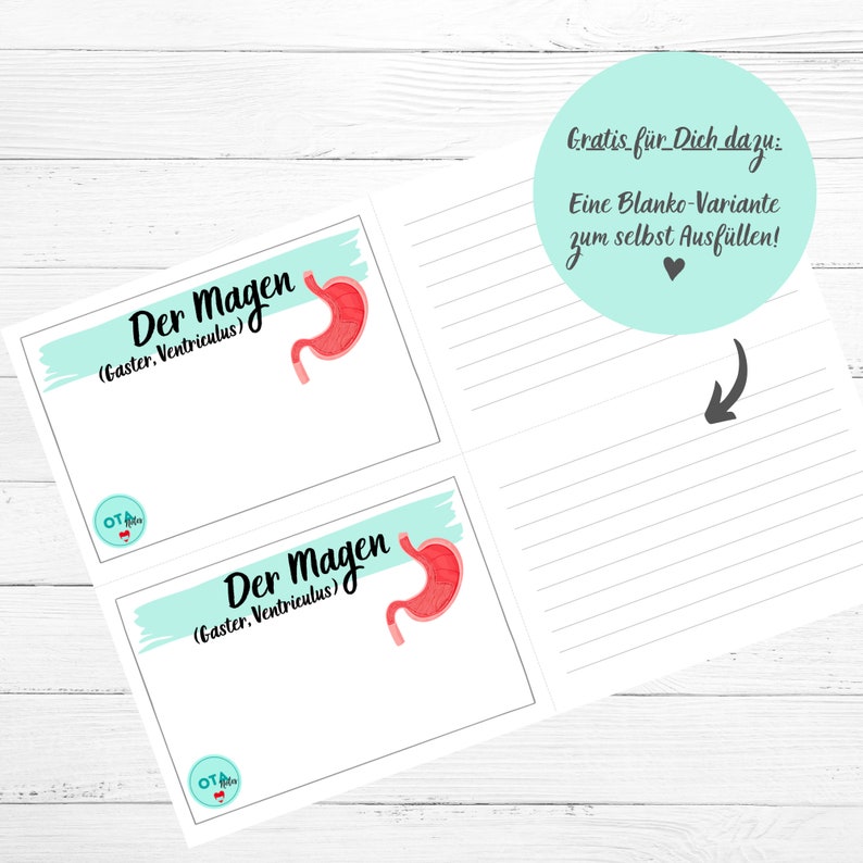 STOMACH Anatomy Study Notes + Flashcards - Nursing OTA Training Nursing ...