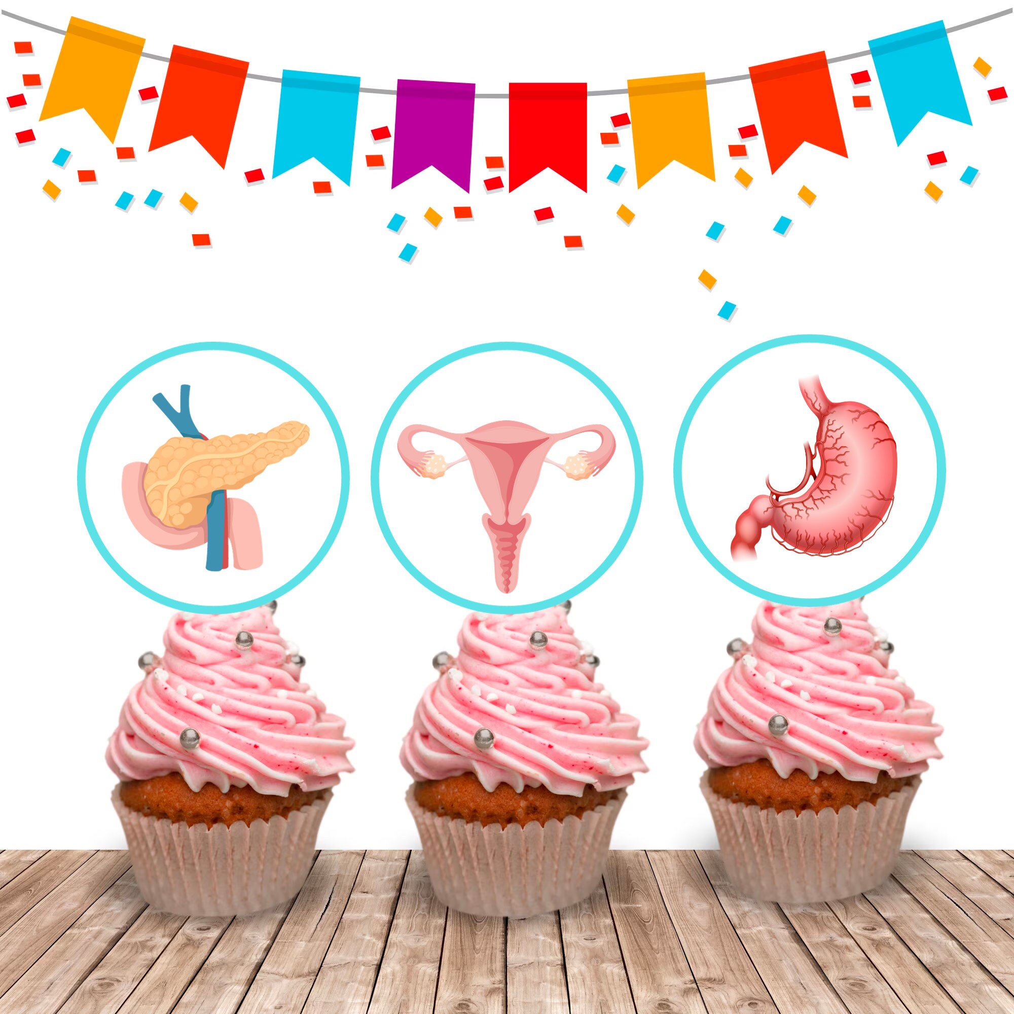 12 Cake Topper Organs Anatomy Medicine Heart Liver Intestine - Etsy