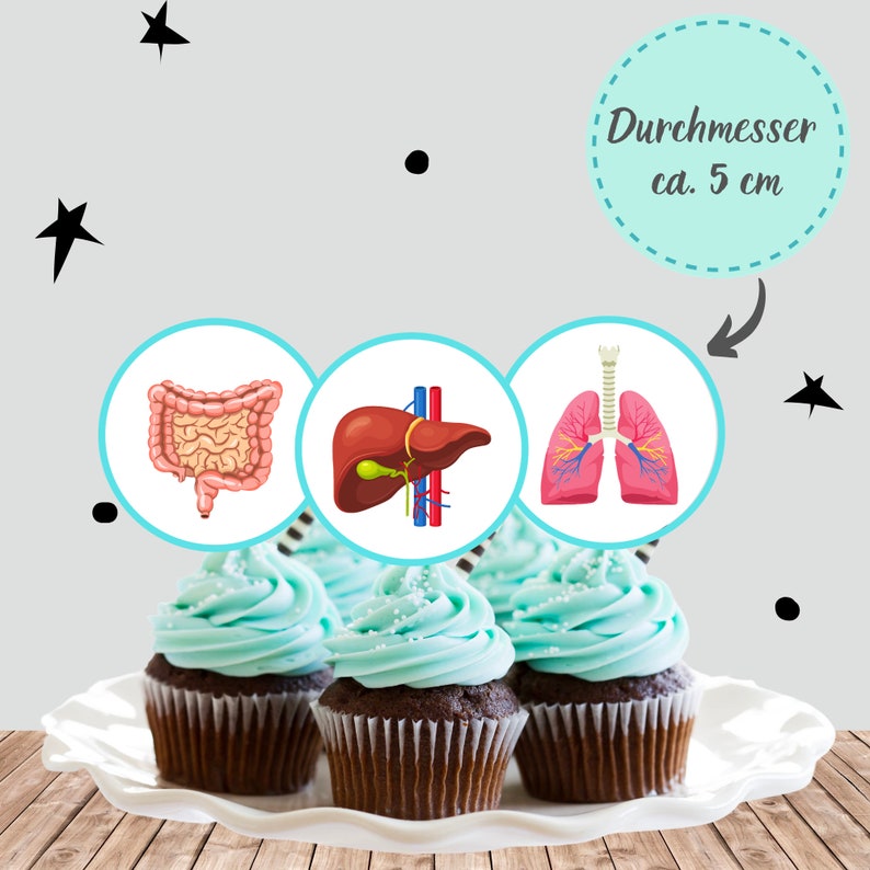 12 Cake Topper Organs Anatomy Medicine Heart Liver Intestine - Etsy