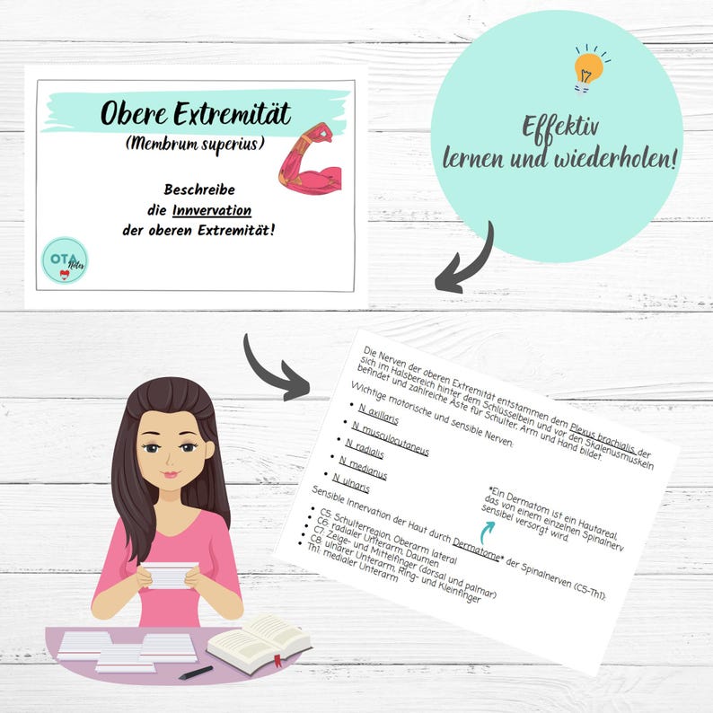 UPPER EXTREMITY Anatomy Study Sheets + Flashcards - Shoulder Joint ...