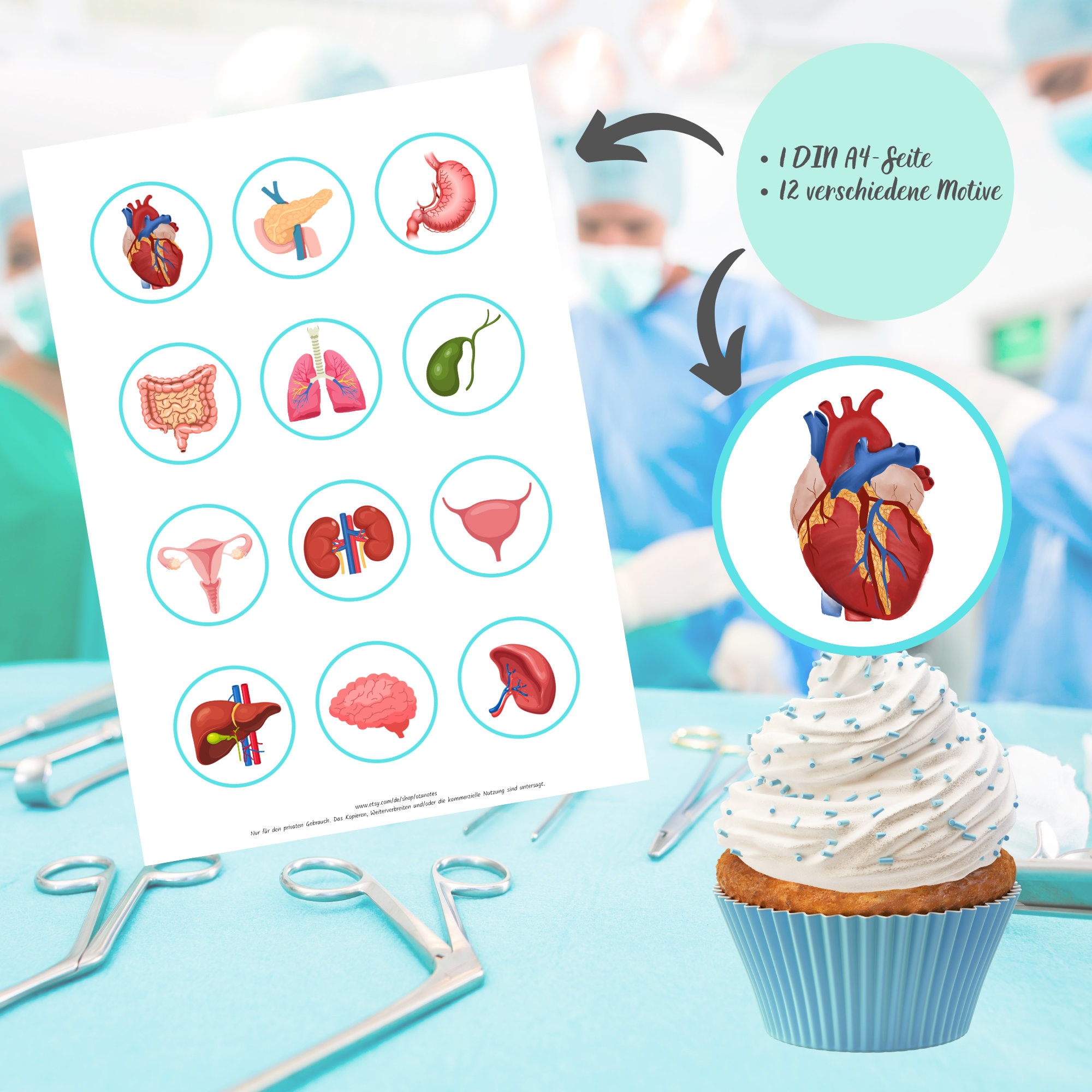12 Cake Topper Organs Anatomy Medicine Heart Liver Intestine - Etsy