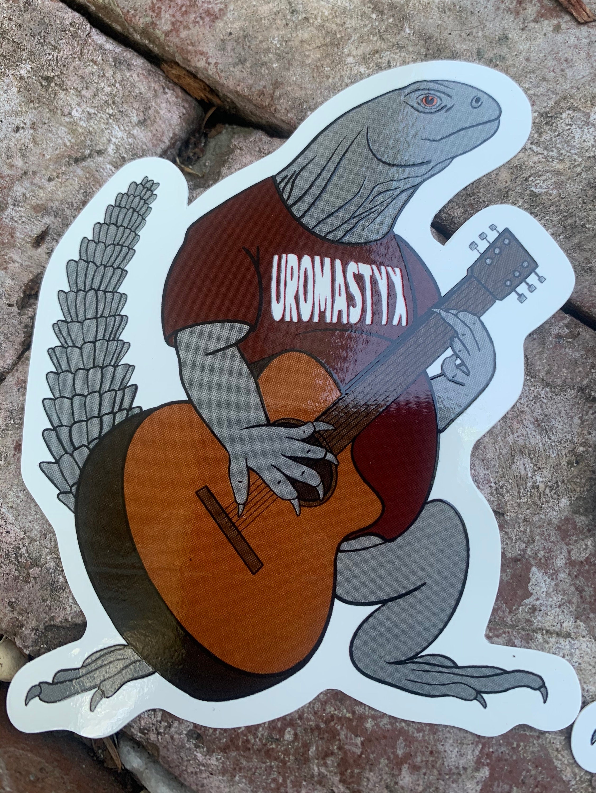 Large Size Uromastyx Stickers - Etsy