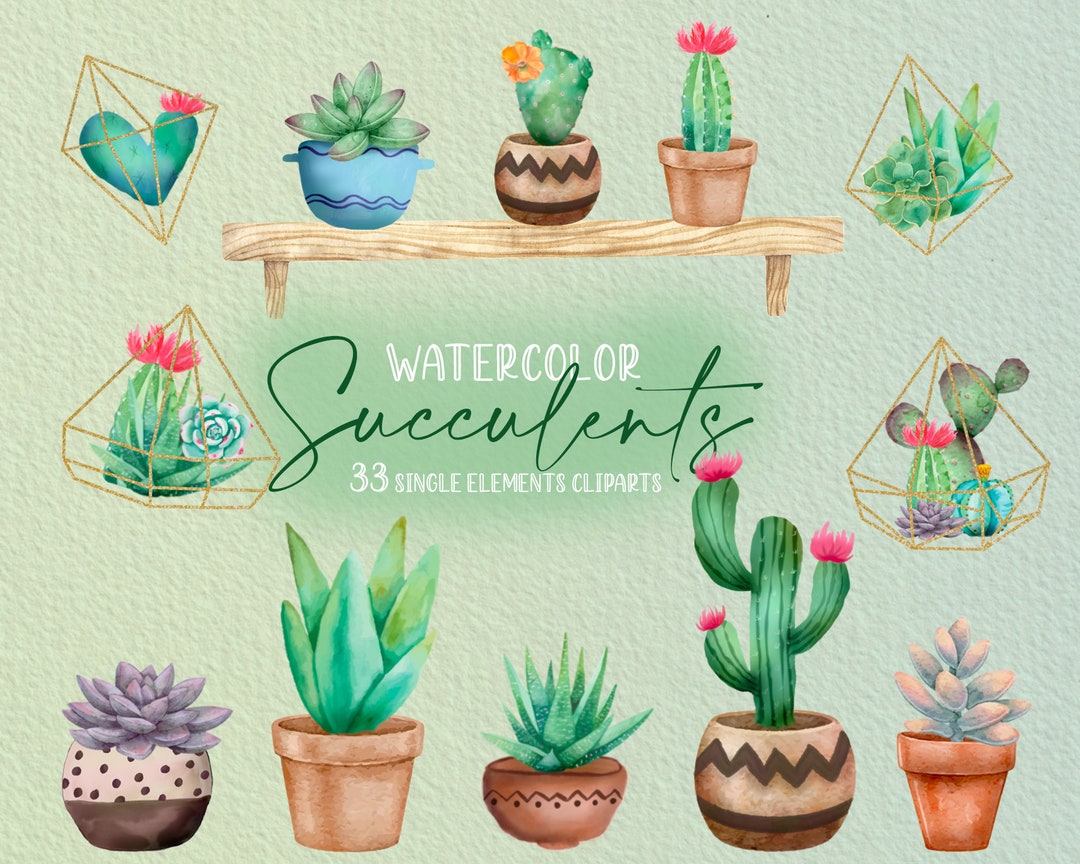 Watercolor Succulents Clipart, Cactus Plant Pot Elements, Tropical ...