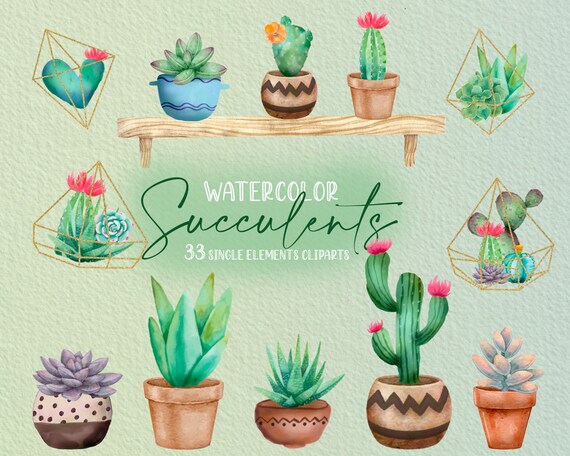 Watercolor Succulents Clipart Cactus Plant Pot Elements - Etsy