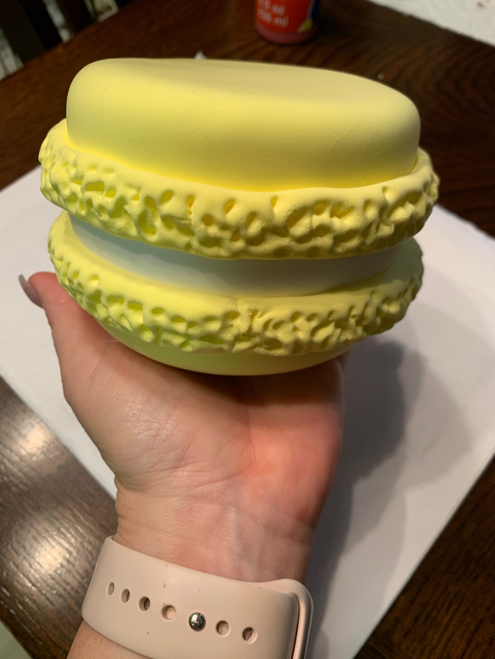 Large Macarons/macaron/macaroon/kitchen Decor/whimsical - Etsy