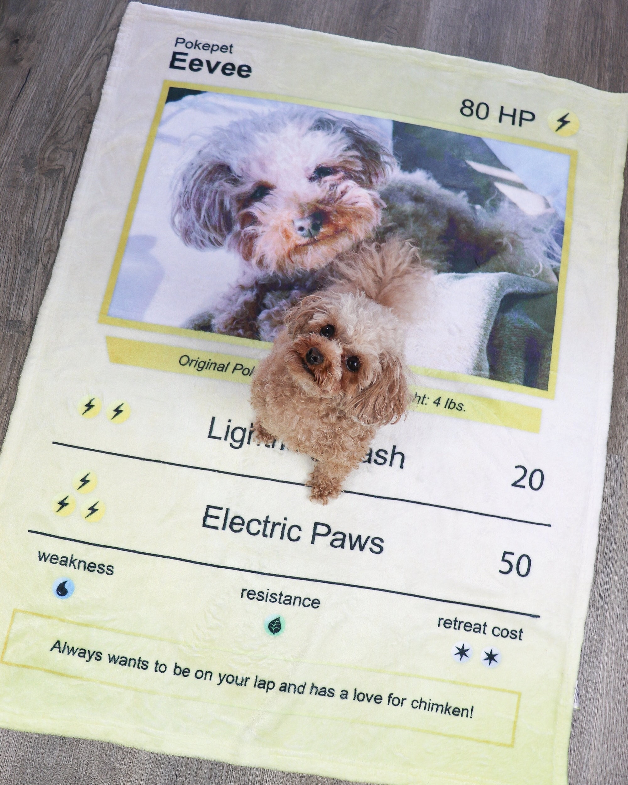 Custom Pokepet Card Blanket, Pokepet Blanket, Custom Pet Blanket, Pet ...