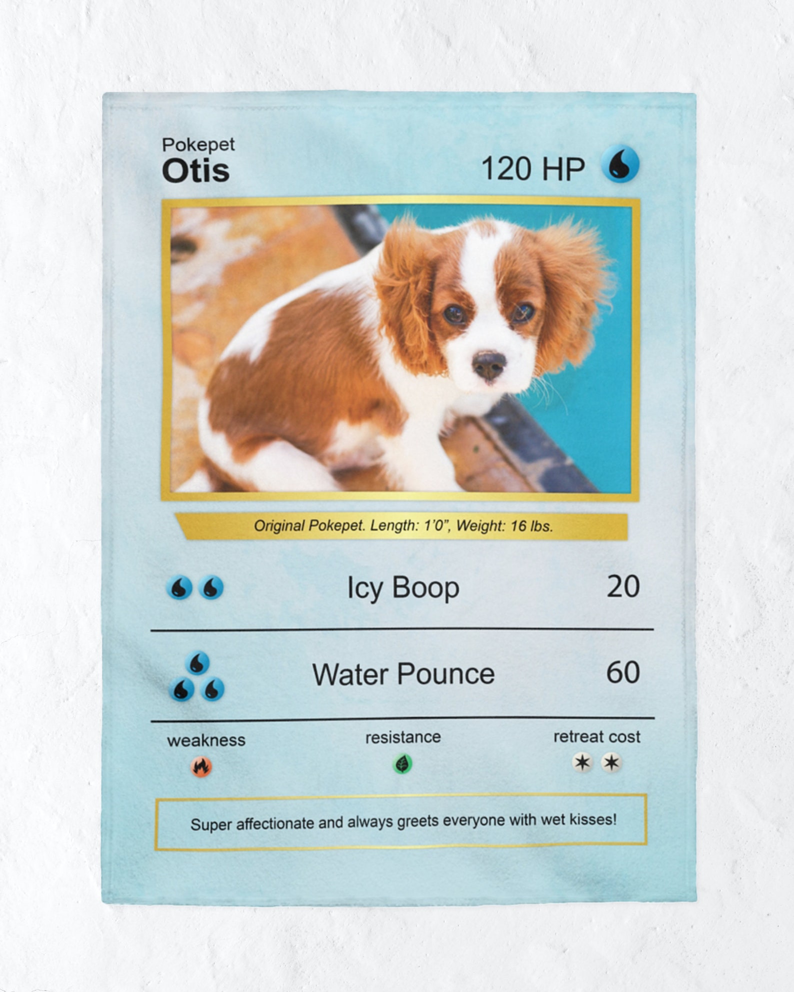 Custom Pokepet Card Blanket Pokepet Blanket Custom Pet - Etsy