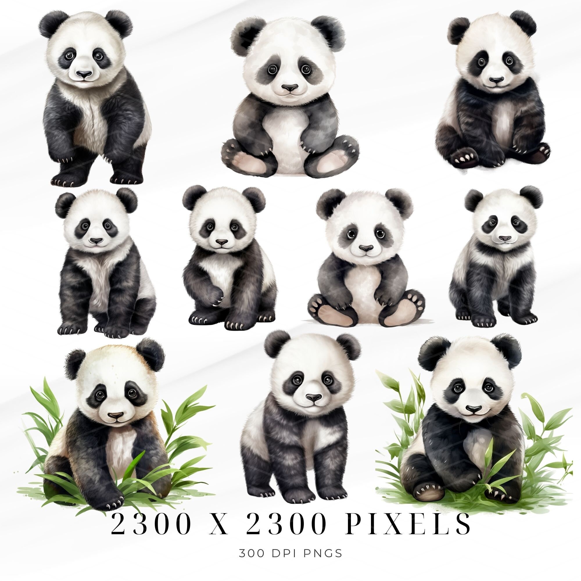 Cute Panda Watercolor Clipart Bundle, Animal Clip Art, Clipart for ...