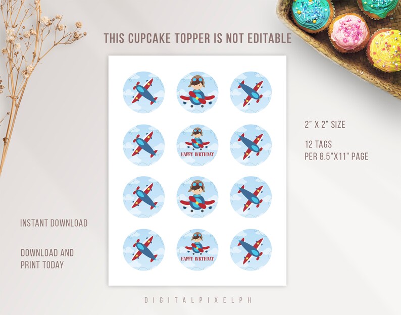 Airplane Birthday Party Cupcake Toppers Airplane Cupcake - Etsy