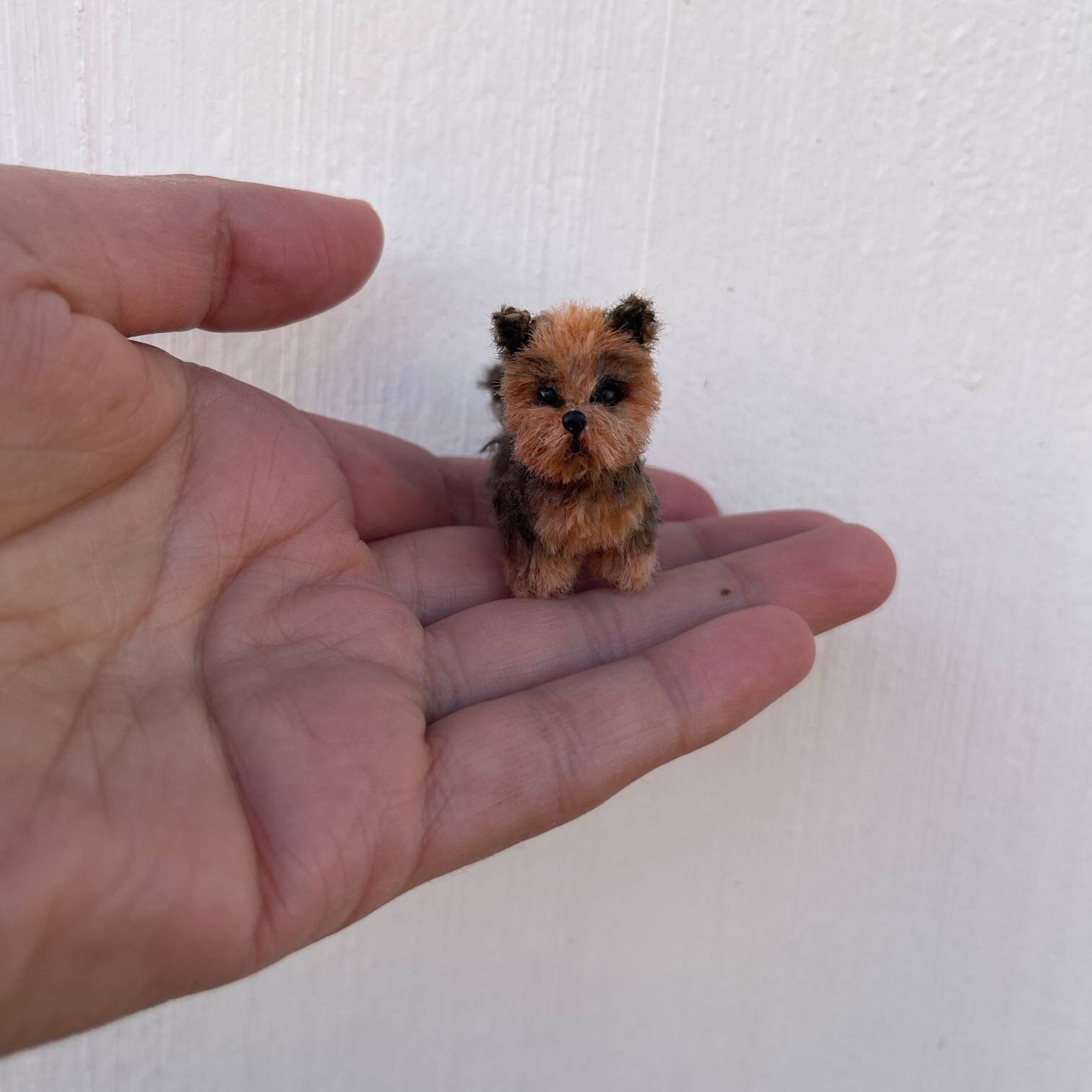 Micro Teacup Yorkie Price