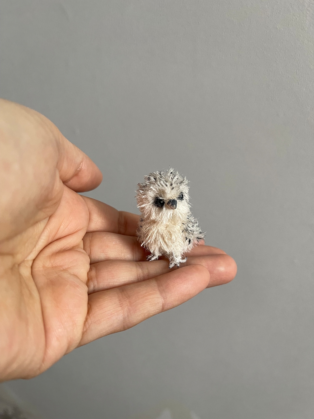 Miniature Barn Owl Micro White Owl Polar Owl Owl Bun Ooak Owl Realistic ...