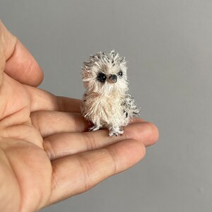 Miniature Barn Owl Micro White Owl Polar Owl Owl Bun Ooak Owl Realistic ...