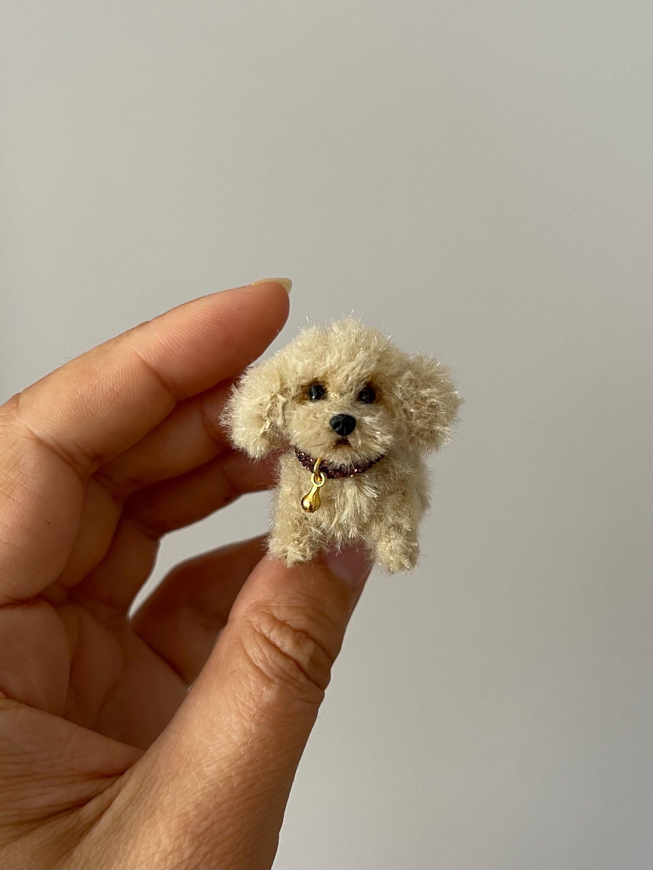 Miniature Realistic Dog Maltipoo Puppy Tiny Poodle Toy Dollhouse ...