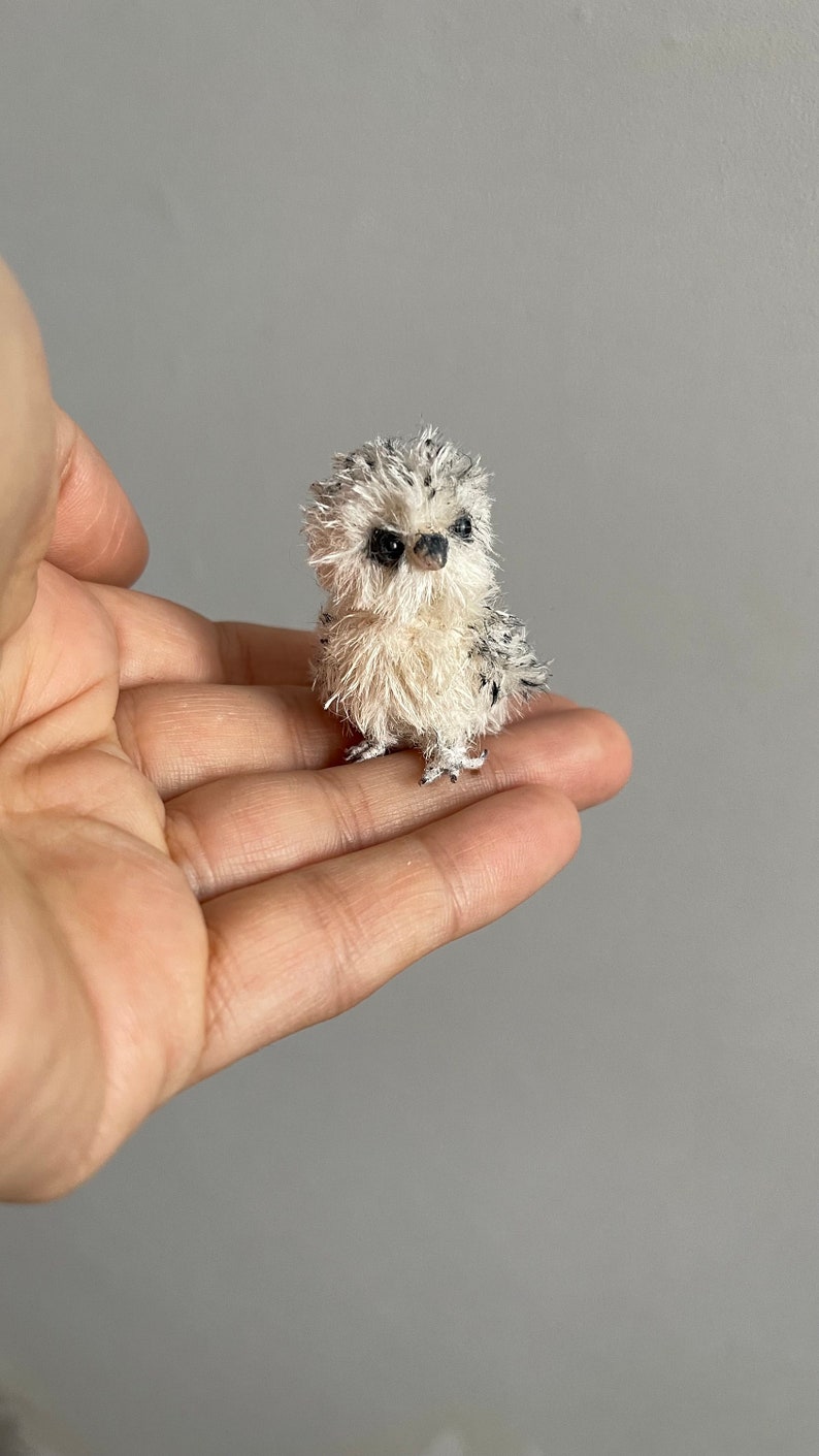 Miniature Barn Owl Micro White Owl Polar Owl Owl Bun Ooak Owl Realistic ...
