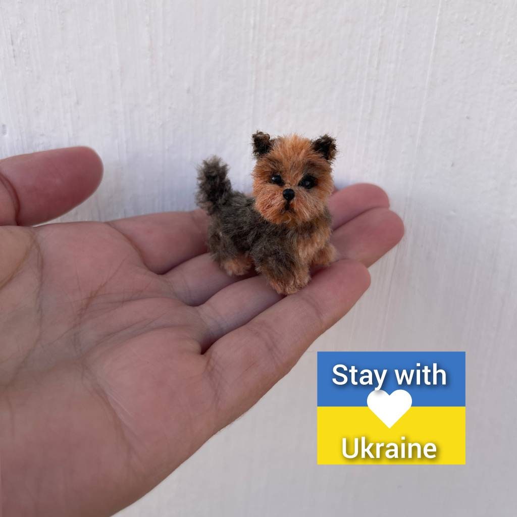 Full Grown Micro Yorkies