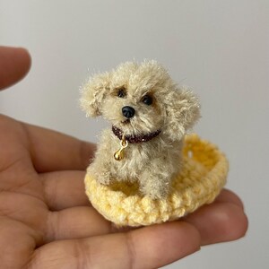 Miniature Realistic Dog Maltipoo Puppy Tiny Poodle Toy Dollhouse ...