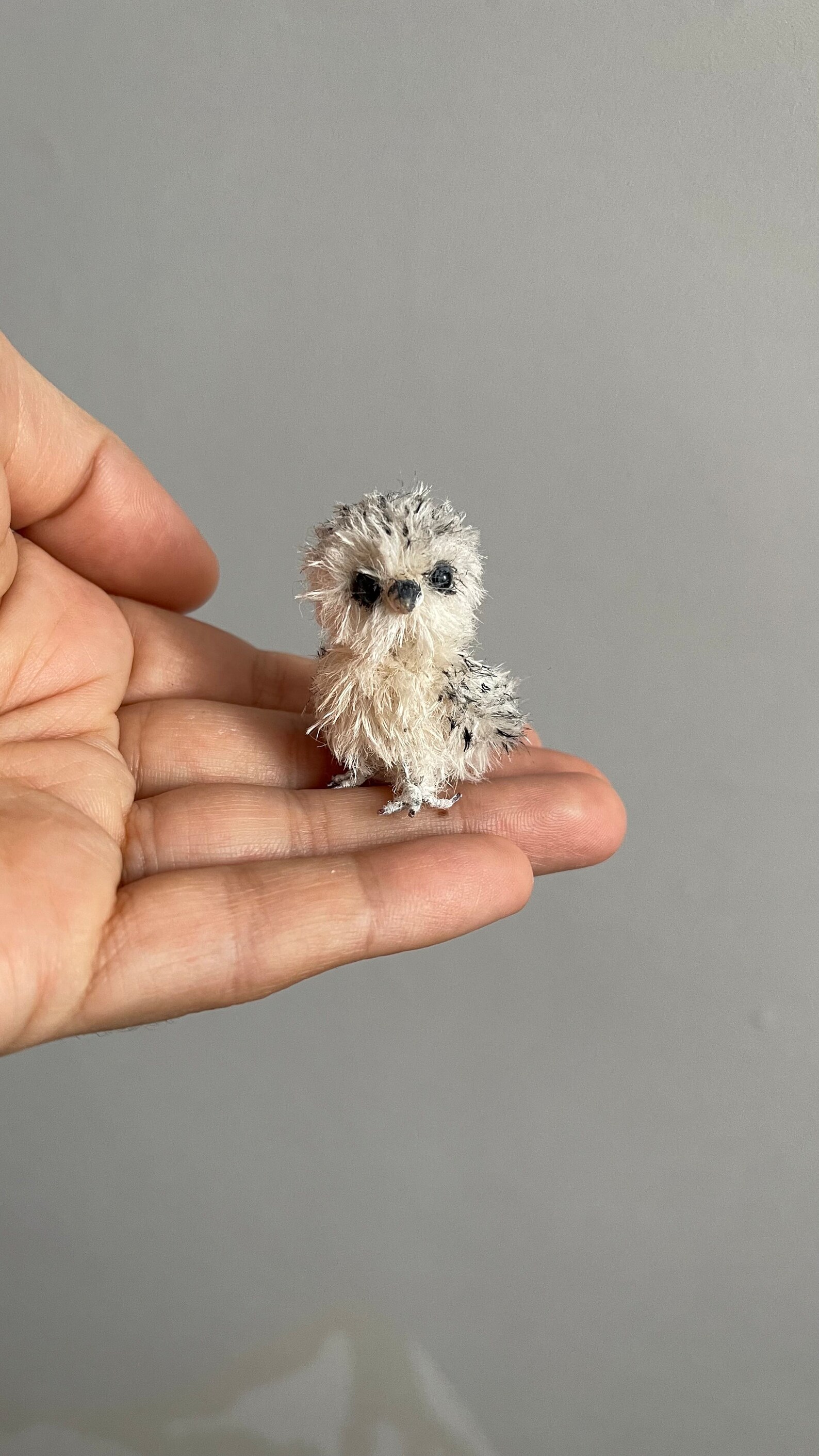Miniature Barn Owl Micro White Owl Polar Owl Owl Bun Ooak Owl Realistic ...