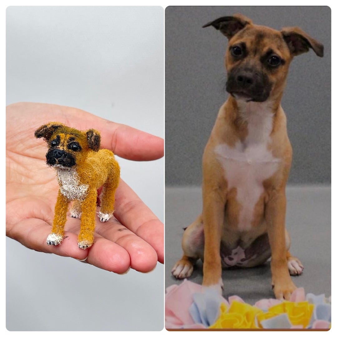 Custom Pet Replica Dollhouse Miniature Felted Dog Portrait Ooak ...