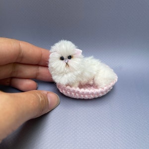 Miniature Realistic Scottish Fold Longhair Cat Highland Fold Cat ...