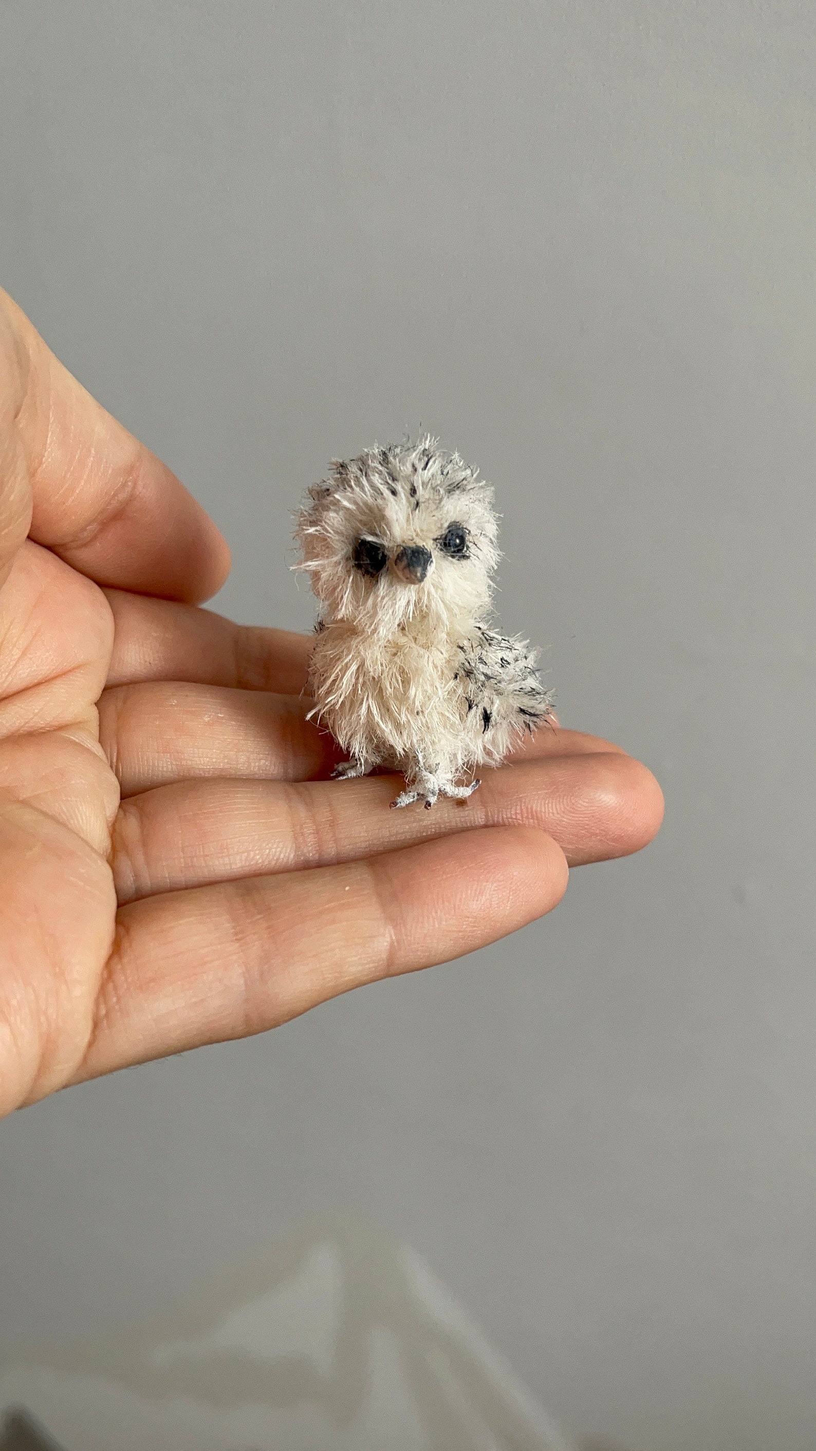 Miniature Barn Owl Micro White Owl Polar Owl Owl Bun Ooak Owl Realistic ...