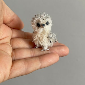 Miniature Barn Owl Micro White Owl Polar Owl Owl Bun Ooak Owl Realistic ...