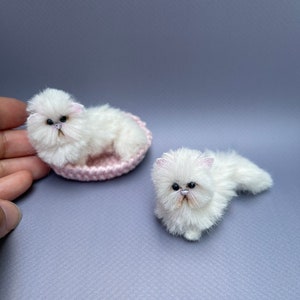 Miniature Realistic Scottish Fold Longhair Cat Highland Fold Cat ...