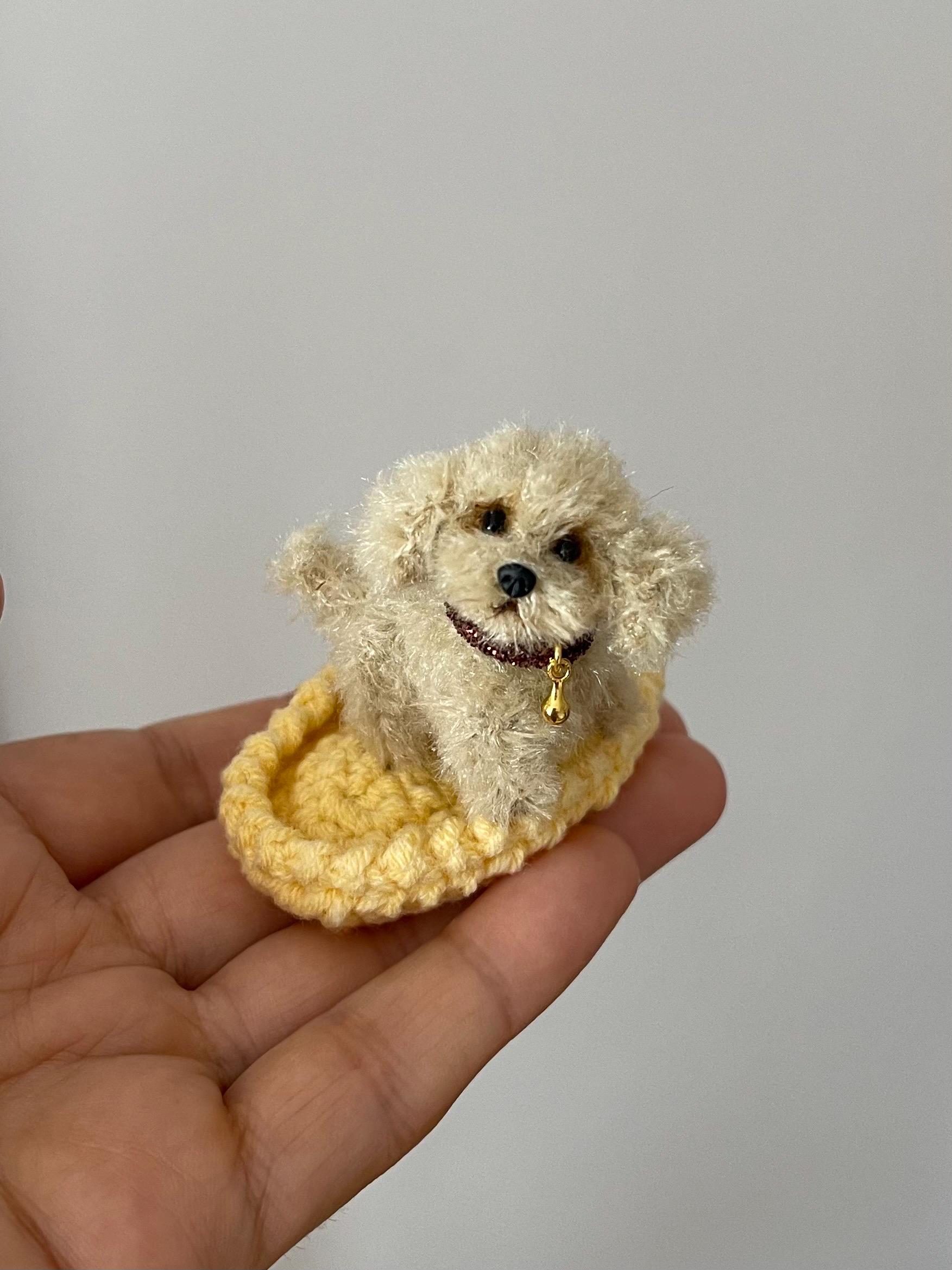 Miniature Realistic Dog Maltipoo Puppy Tiny Poodle Toy Dollhouse ...