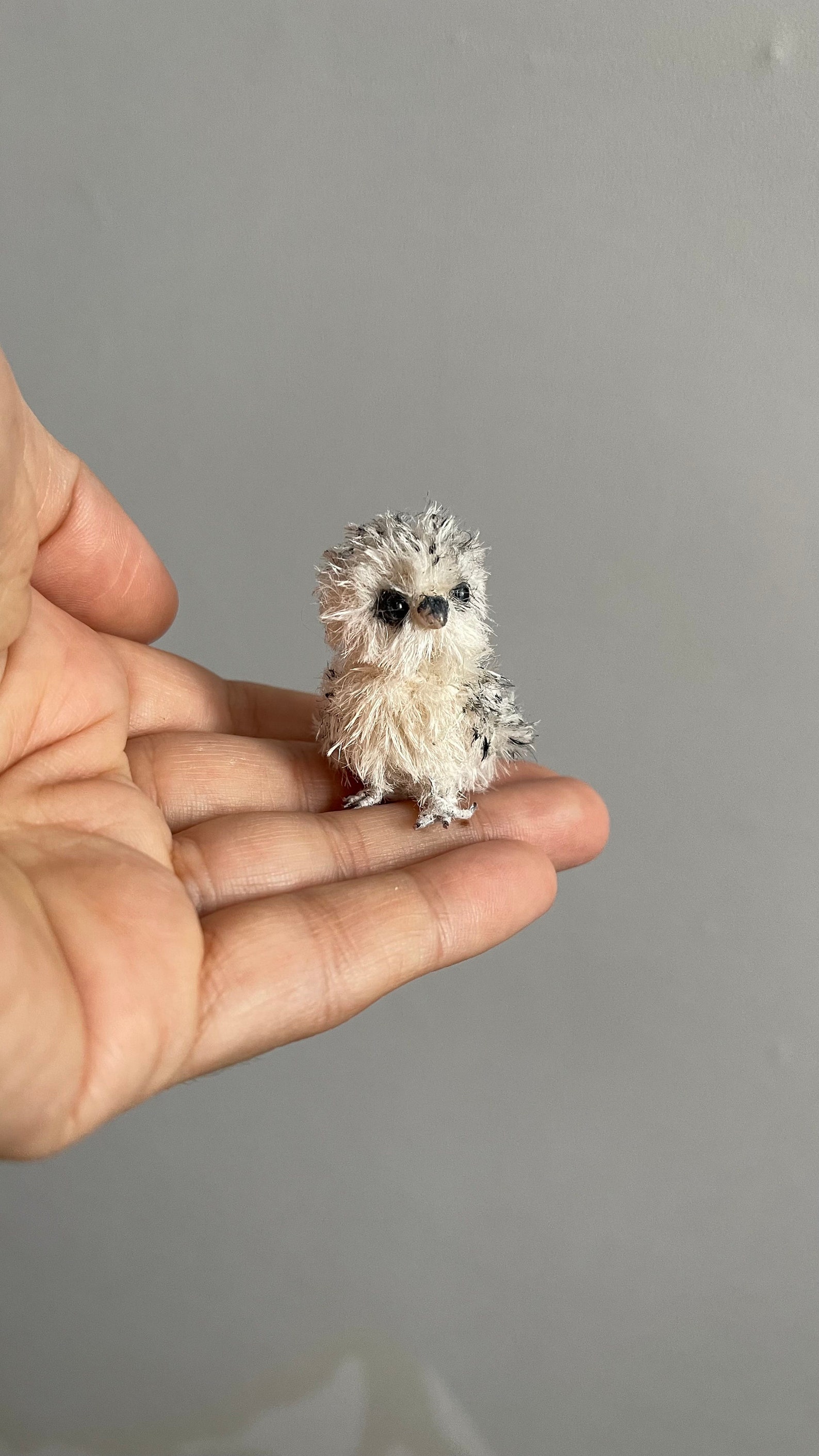 Miniature Barn Owl Micro White Owl Polar Owl Owl Bun Ooak Owl Realistic ...