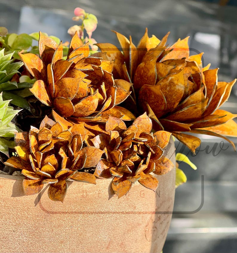 Rusted Metal Succulent Sculpture: Garden Decor - Etsy