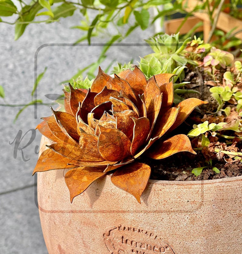 Rusted Metal Succulent Sculpture: Garden Decor - Etsy