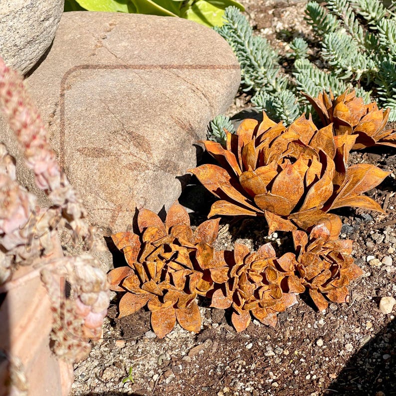 Rusted Metal Succulent Sculpture: Garden Decor - Etsy