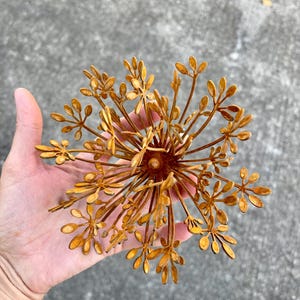 Garden Decor - Rusted Metal Flower Sculpture - Cow Parsley - Etsy