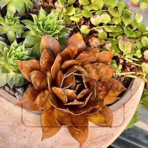 Rusted Metal Succulent Sculpture: Garden Decor - Etsy