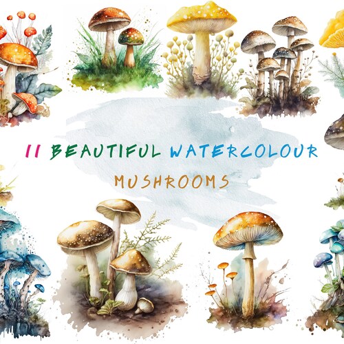 Wild Mushrooms. Watercolor Forest Clipart Wreath Autumn - Etsy