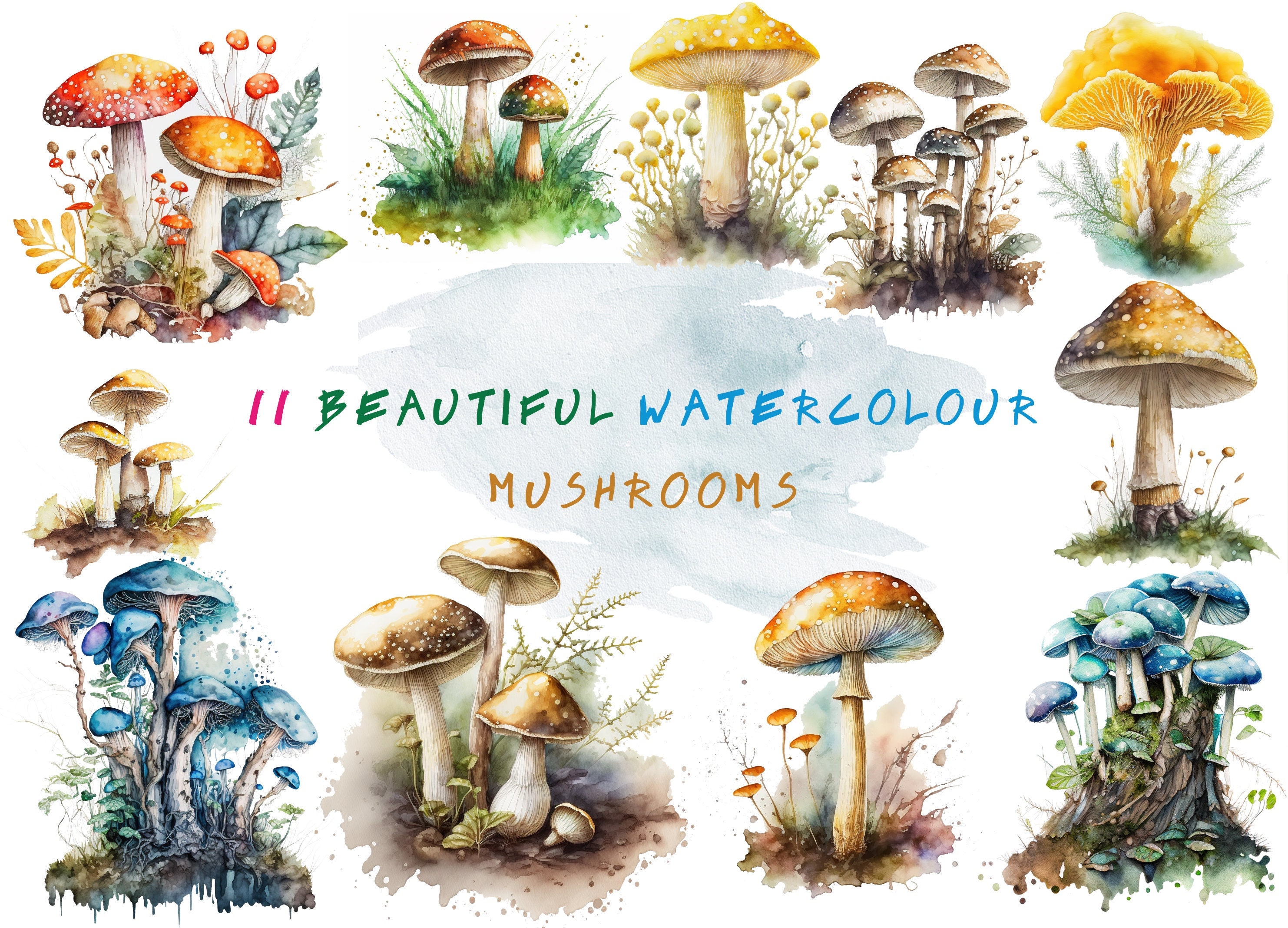 Watercolour Woodland Forest Mushrooms Autumn Clipart - Etsy