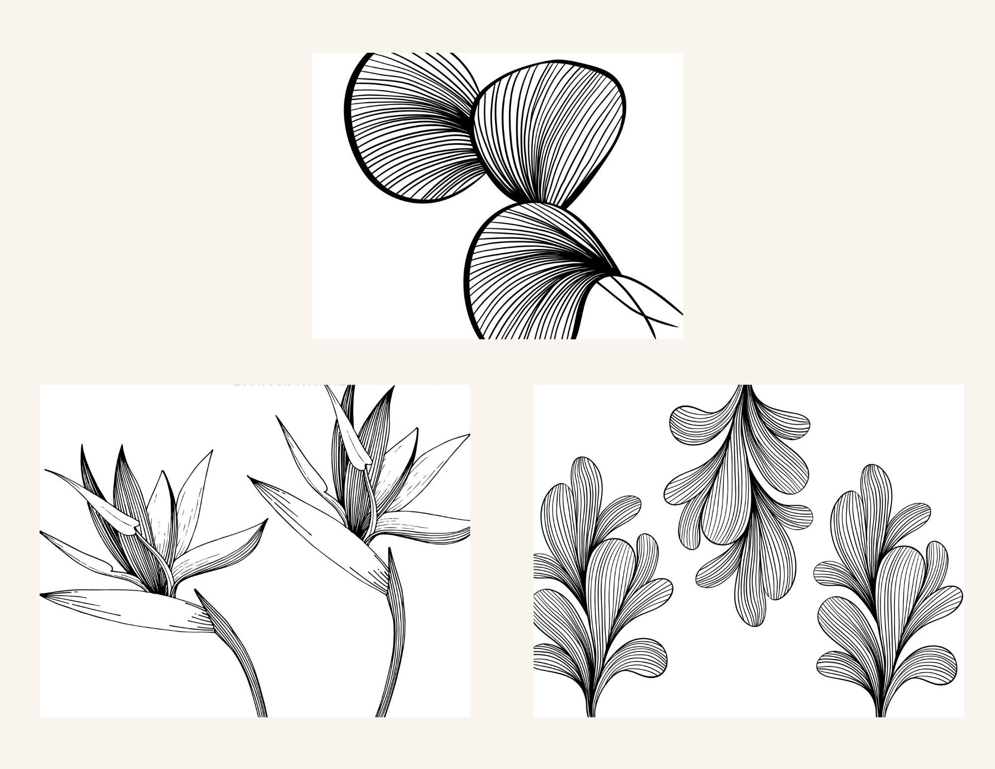 Color & Relax | Greenery Relaxing Coloring Pages | Digital | Instant ...