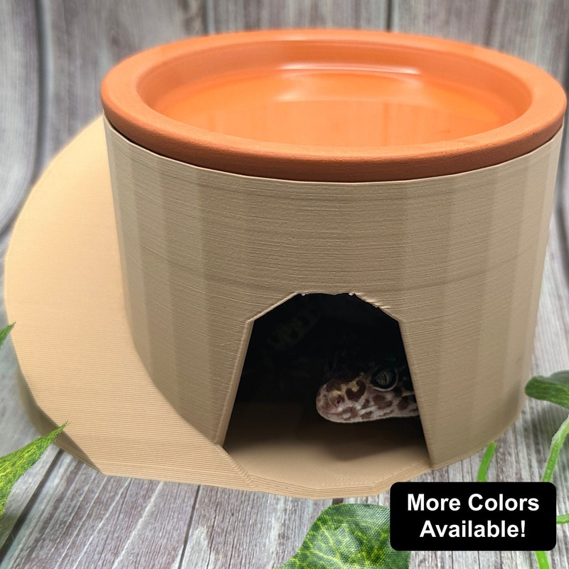 Reptile Hide - Etsy