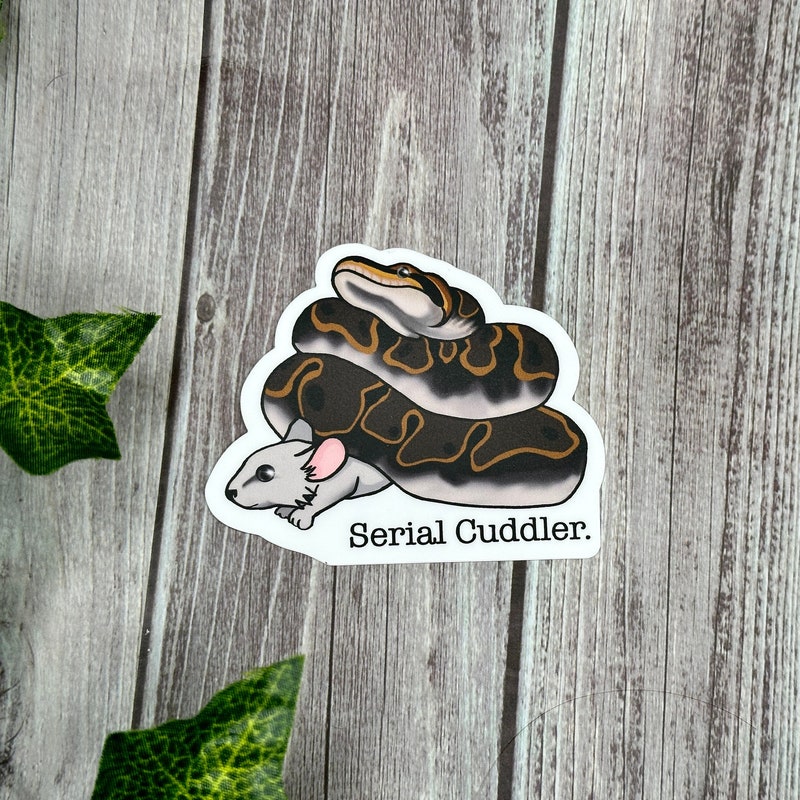 Ball Python - Etsy