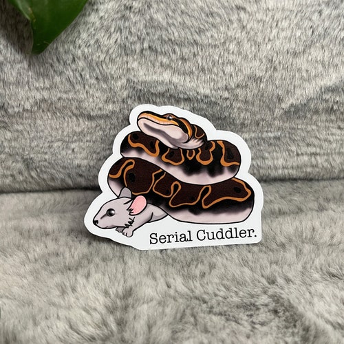 Ball Python Hugs Sticker Cute Snake Stickers - Etsy