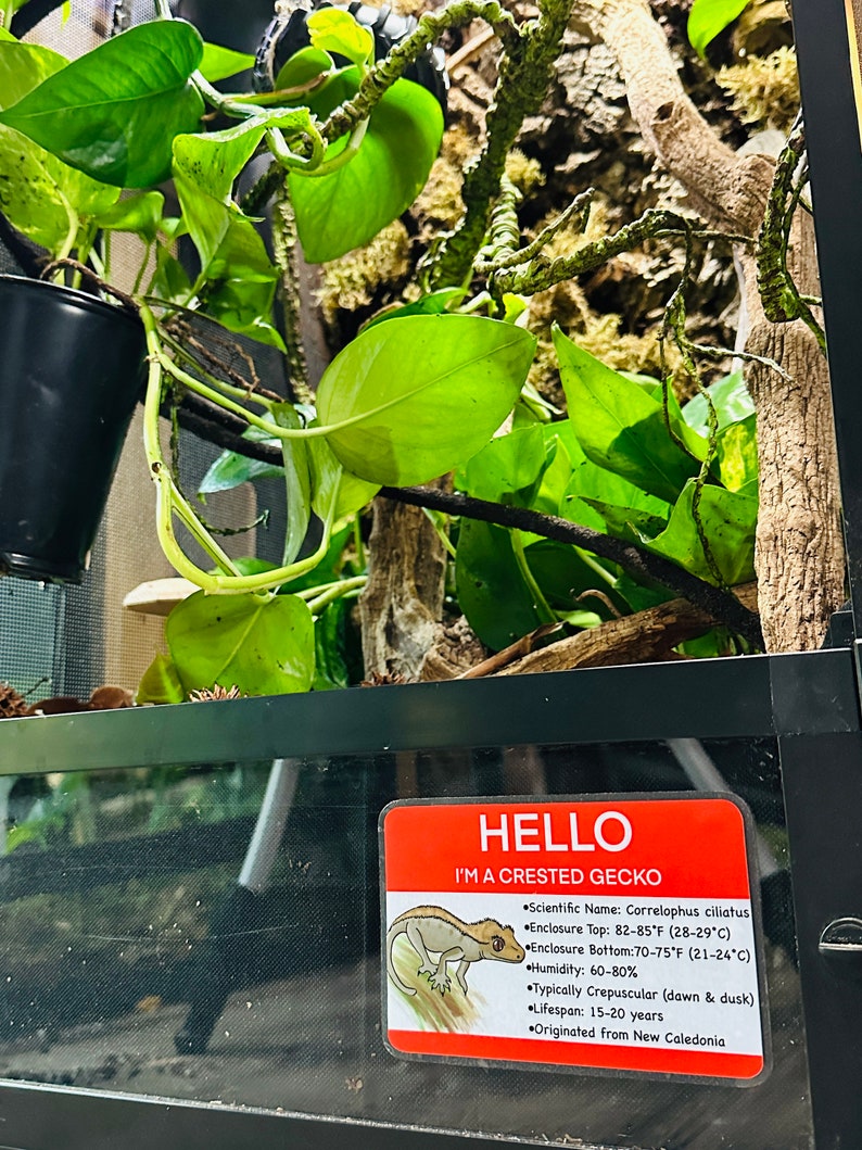 Hello I'm A Crested Gecko Tank Sticker | Reptile Info Label - Etsy