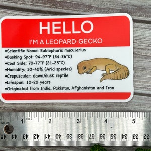 Hello I'm A Leopard Gecko Tank Sticker Reptile Info Label - Etsy