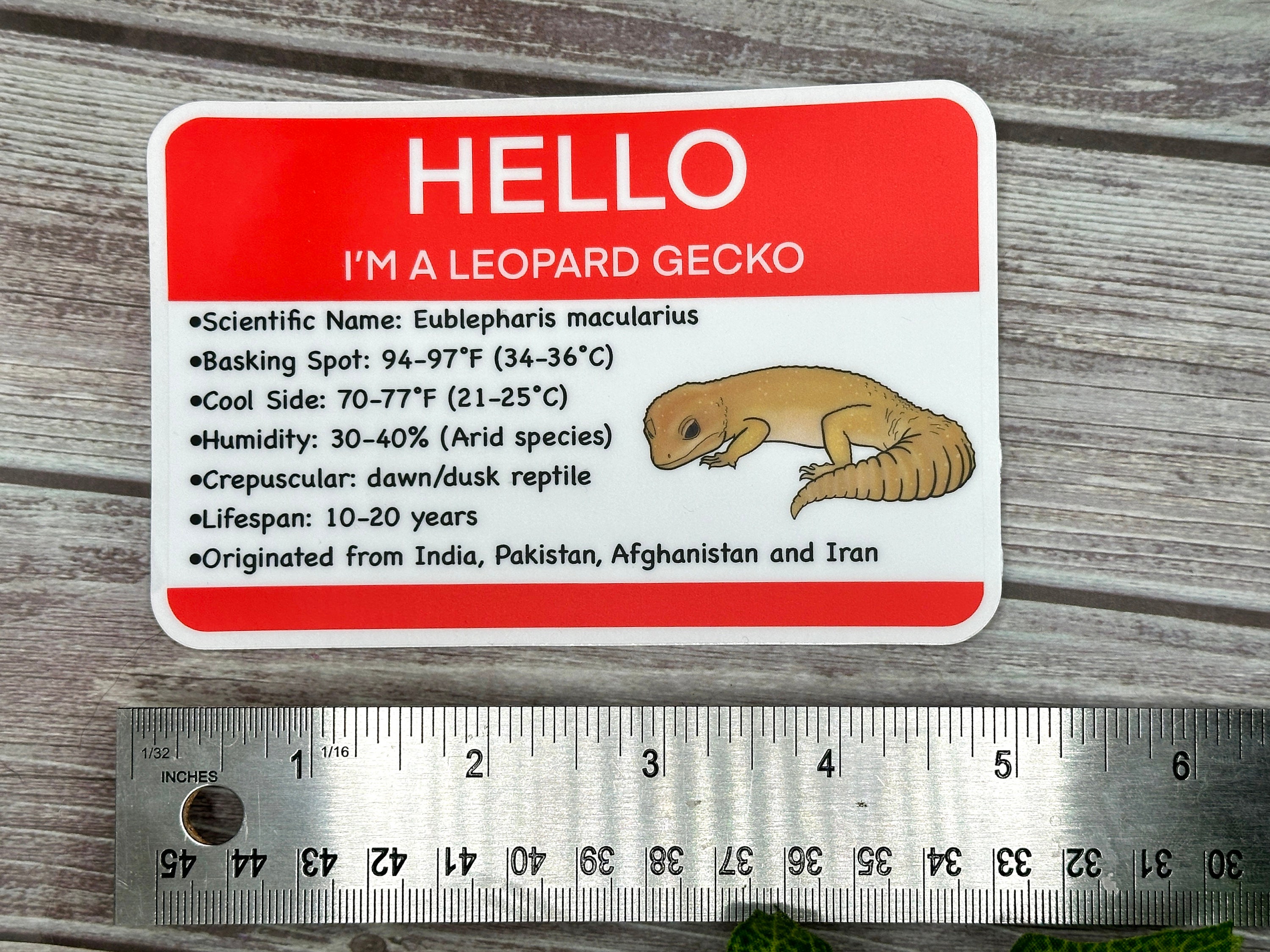 Hello I'm A Leopard Gecko Tank Sticker | Reptile Info Label - Etsy