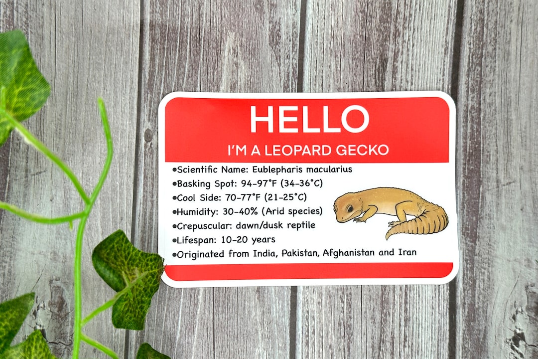 Hello I'm A Leopard Gecko Tank Sticker | Reptile Info Label - Etsy
