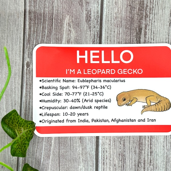 Reptile Enclosure - Etsy