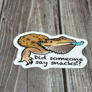 Bearded Dragon VINYL Sticker | Did Someone Say Snacks!? - Etsy