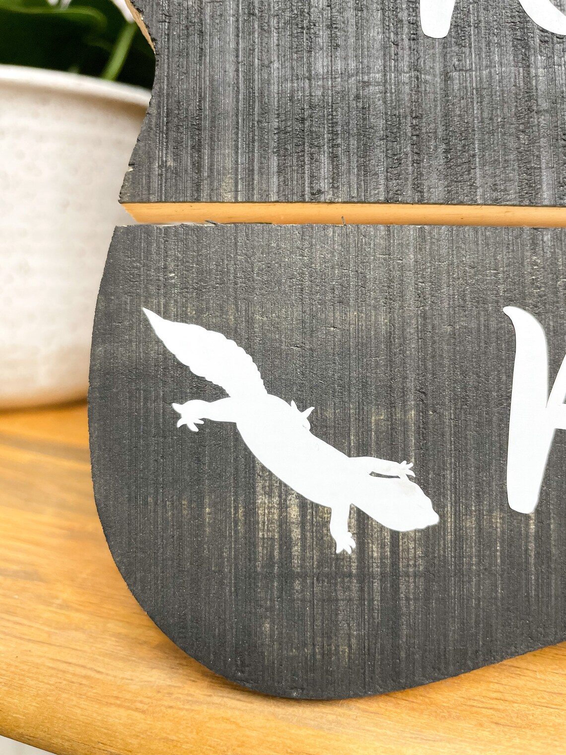 Personalized Reptile Room Sign Wooden Tabletop Pet Room Sign | Etsy