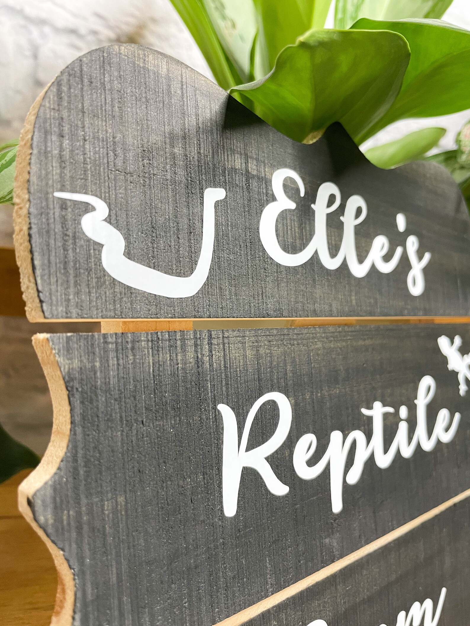 Personalized Reptile Room Sign Wooden Tabletop Pet Room Sign - Etsy UK